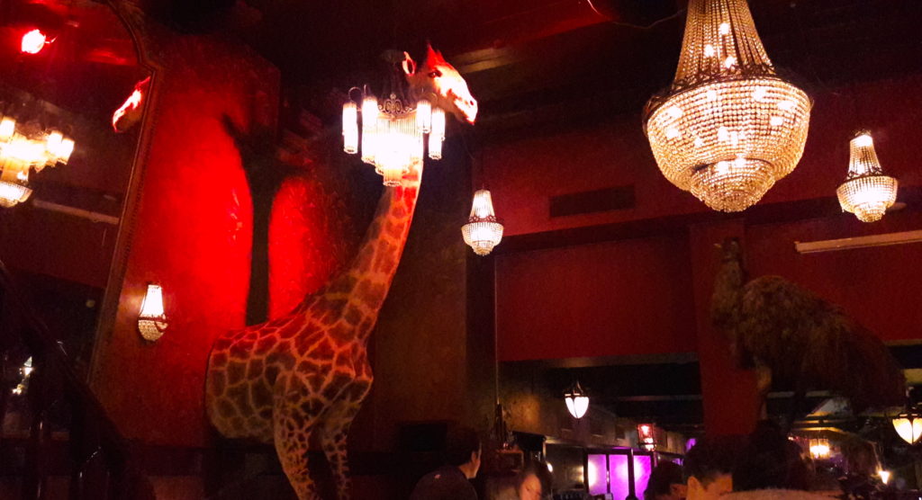 Top 15 Favorite Bars in Utrecht, NL - Voyage Scribe