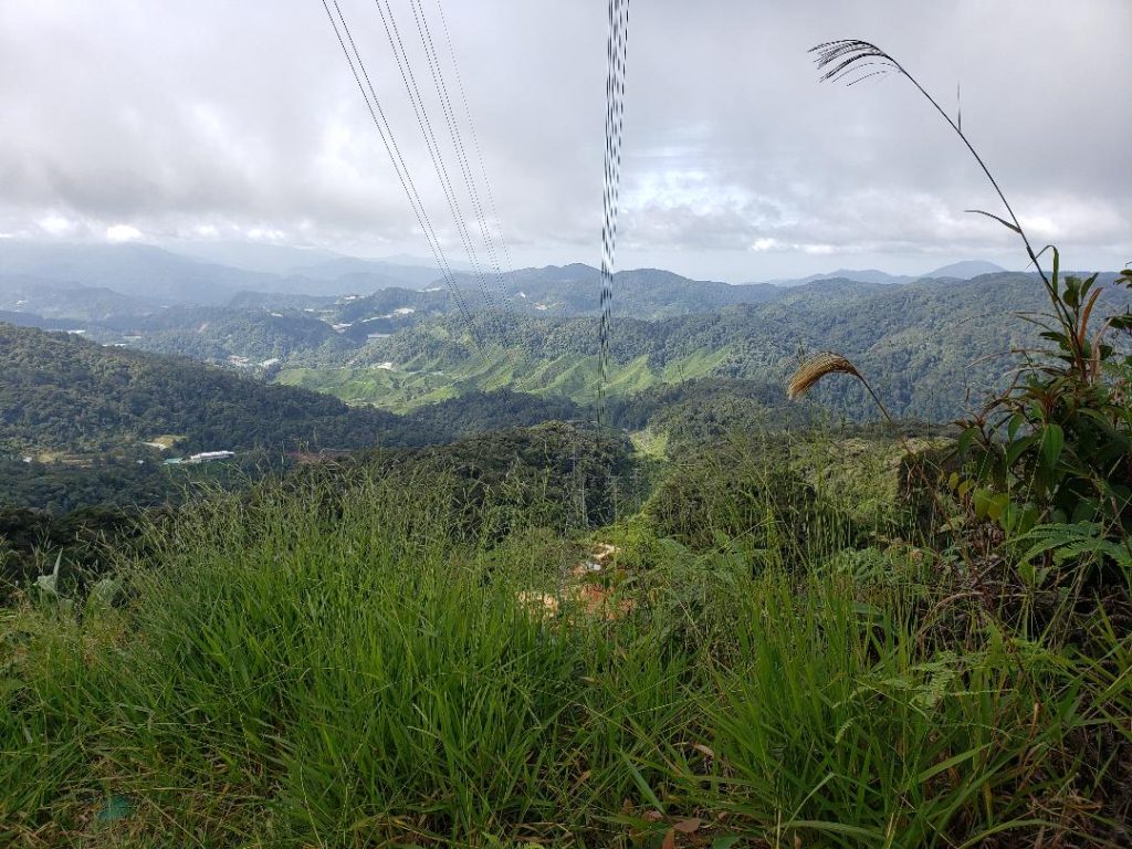 Guide to the Best Hiking in the Cameron Highlands - Voyage Scribe