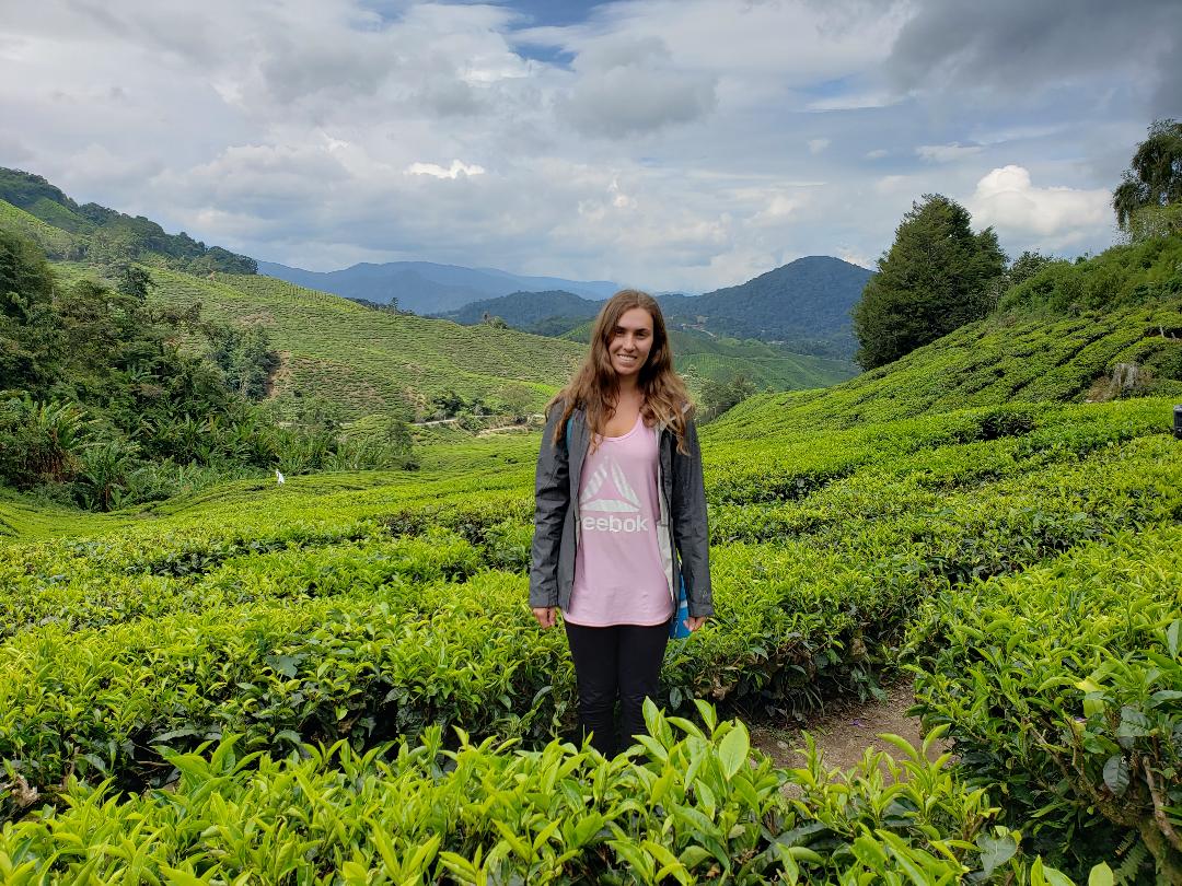 Guide to the Best Hiking in the Cameron Highlands - Voyage Scribe