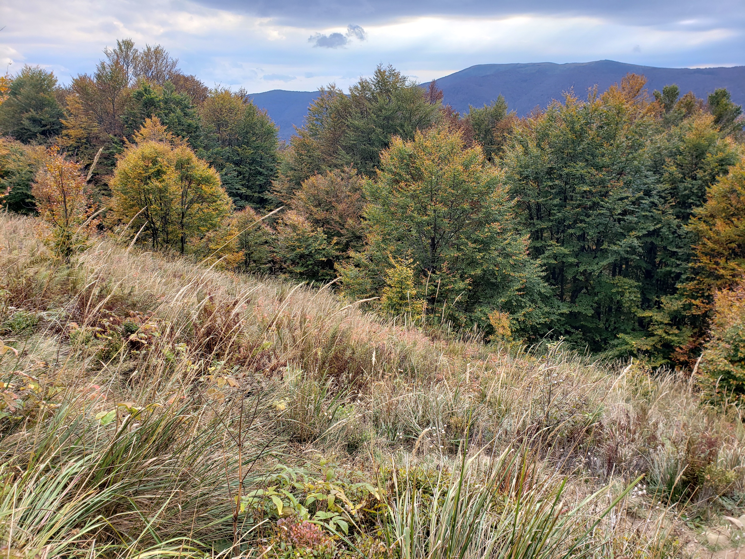 Best Fall/ Autumn Hikes in Poland - Voyage Scribe