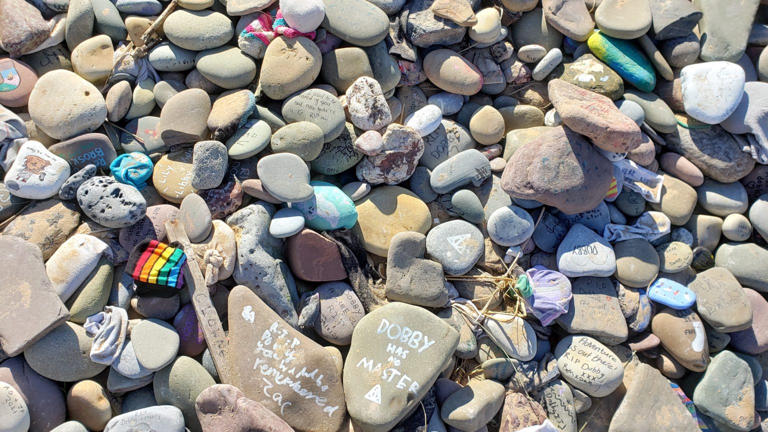 How to Get to “Harry Potter” Beach Without a Car: Dobby’s Grave & Shell ...