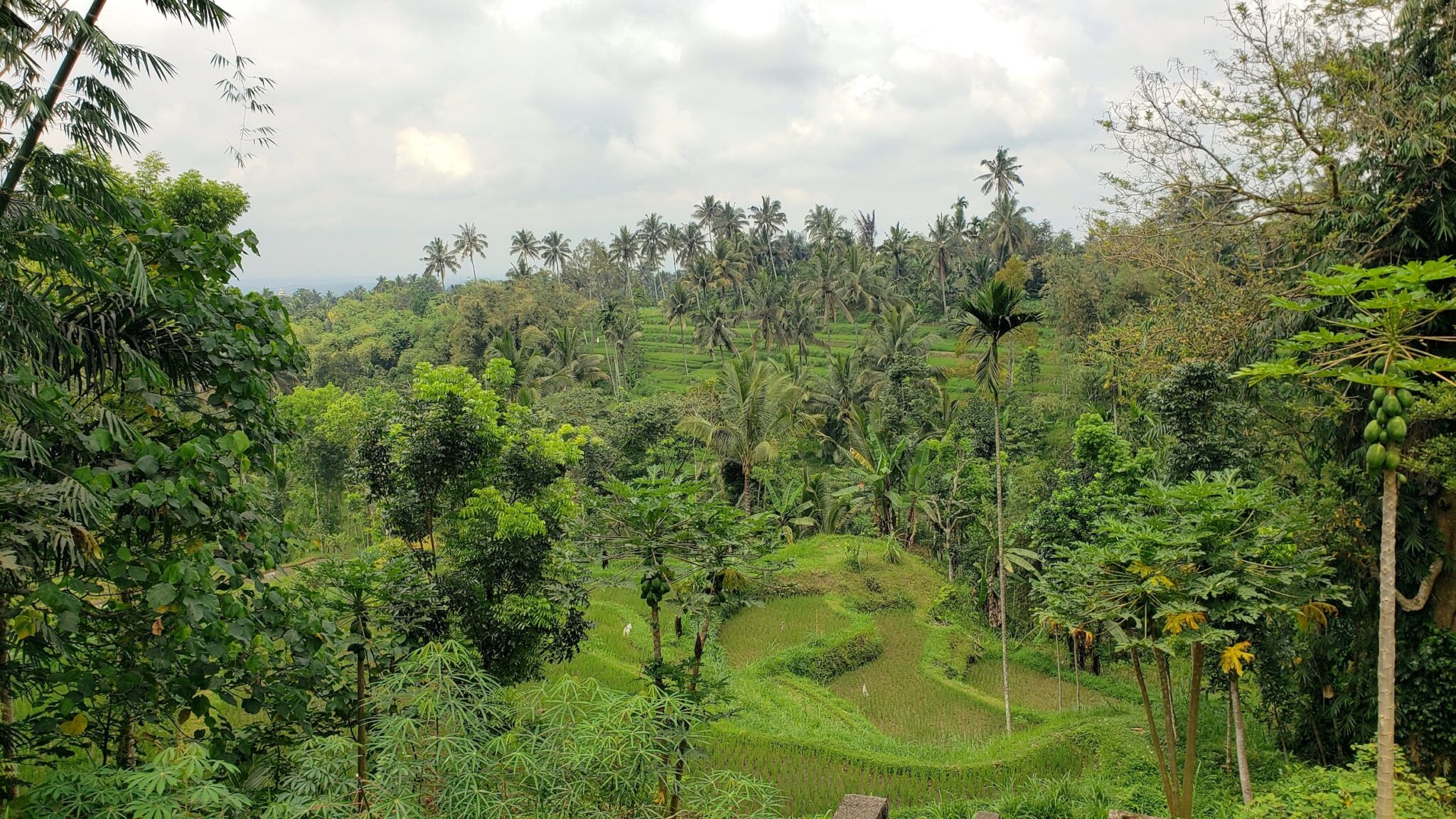 Travel Guide to Lombok Attractions and Things to Do - Voyage Scribe