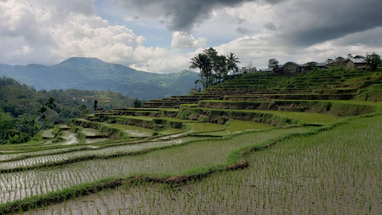 What to Do in Flores, Indonesia After Komodo Boat Trip: One Week ...