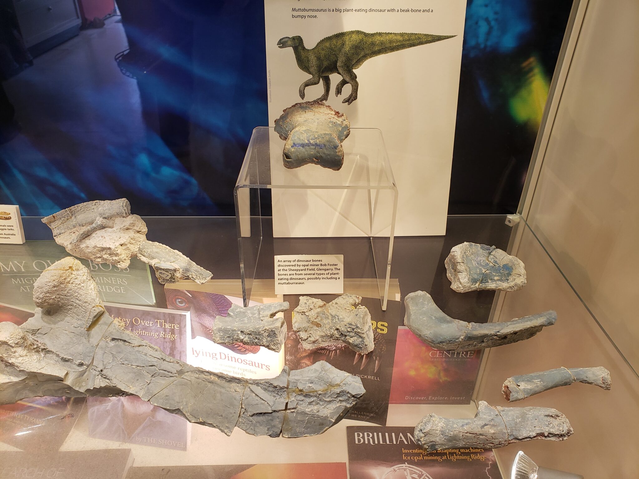 Lightning Ridge Unique Things to Do: Opals & Outback - Voyage Scribe